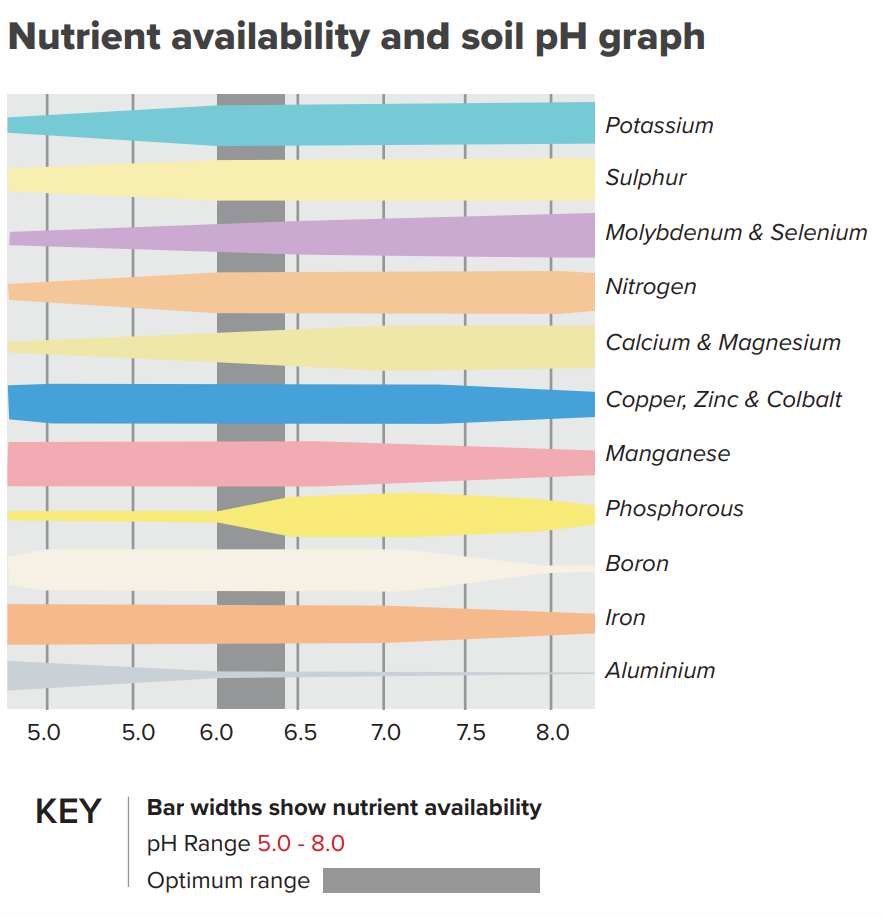 Ultra Fine Particle Fertiliser: Insights from Andrew de Lautour